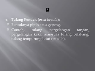 ANATOMI & FISIOLOGI MUSCULOSKELETAL.pptx