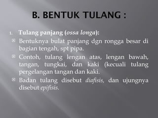 ANATOMI & FISIOLOGI MUSCULOSKELETAL.pptx