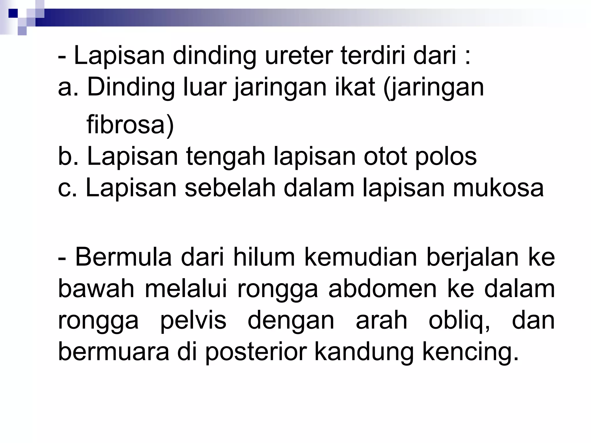 Anatomi & fisiologi sistem urinaria | PPTX