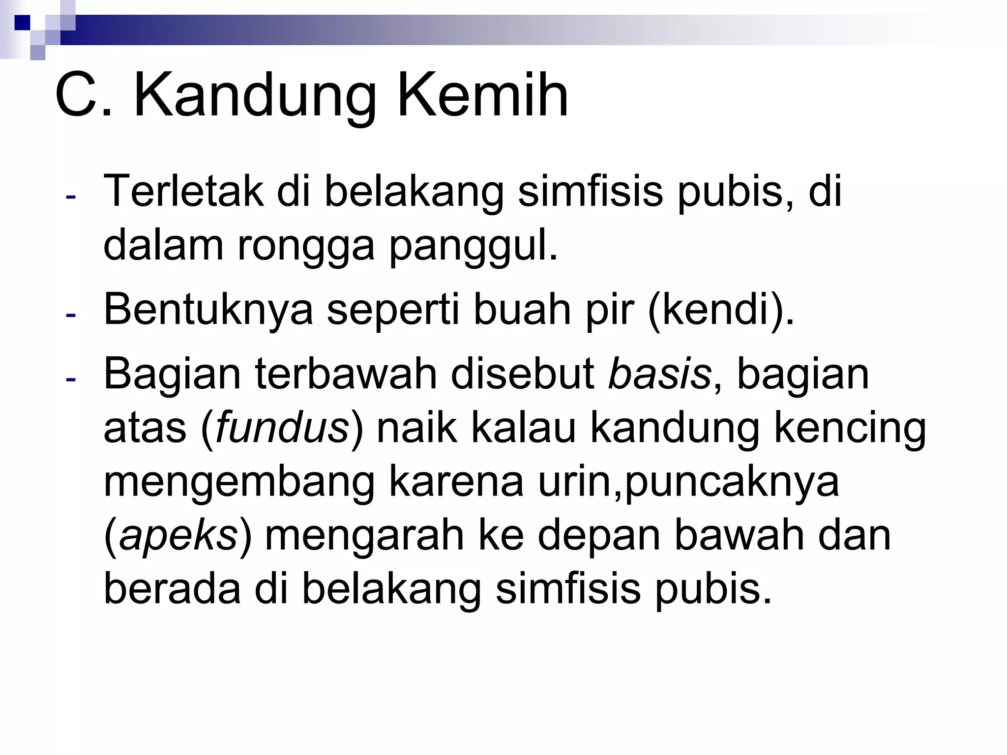 Anatomi & fisiologi sistem urinaria | PPTX