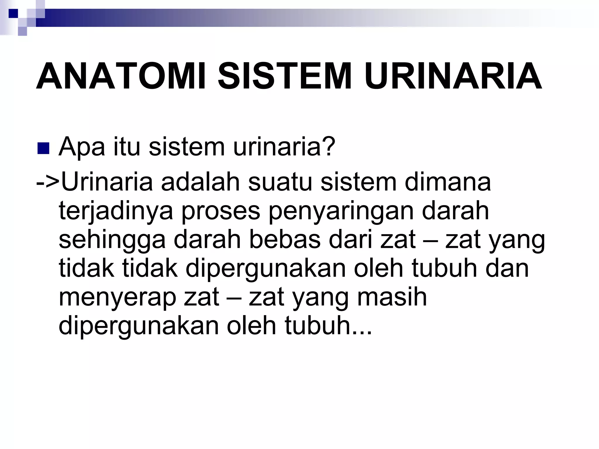 Anatomi & fisiologi sistem urinaria | PPTX
