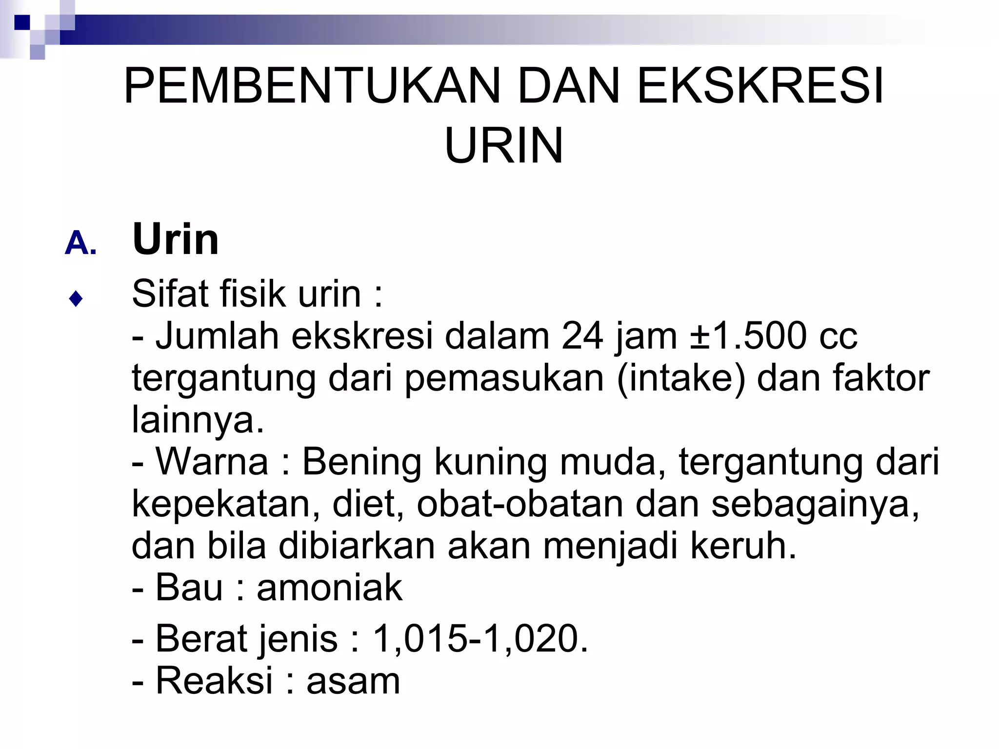 Anatomi & fisiologi sistem urinaria | PPTX