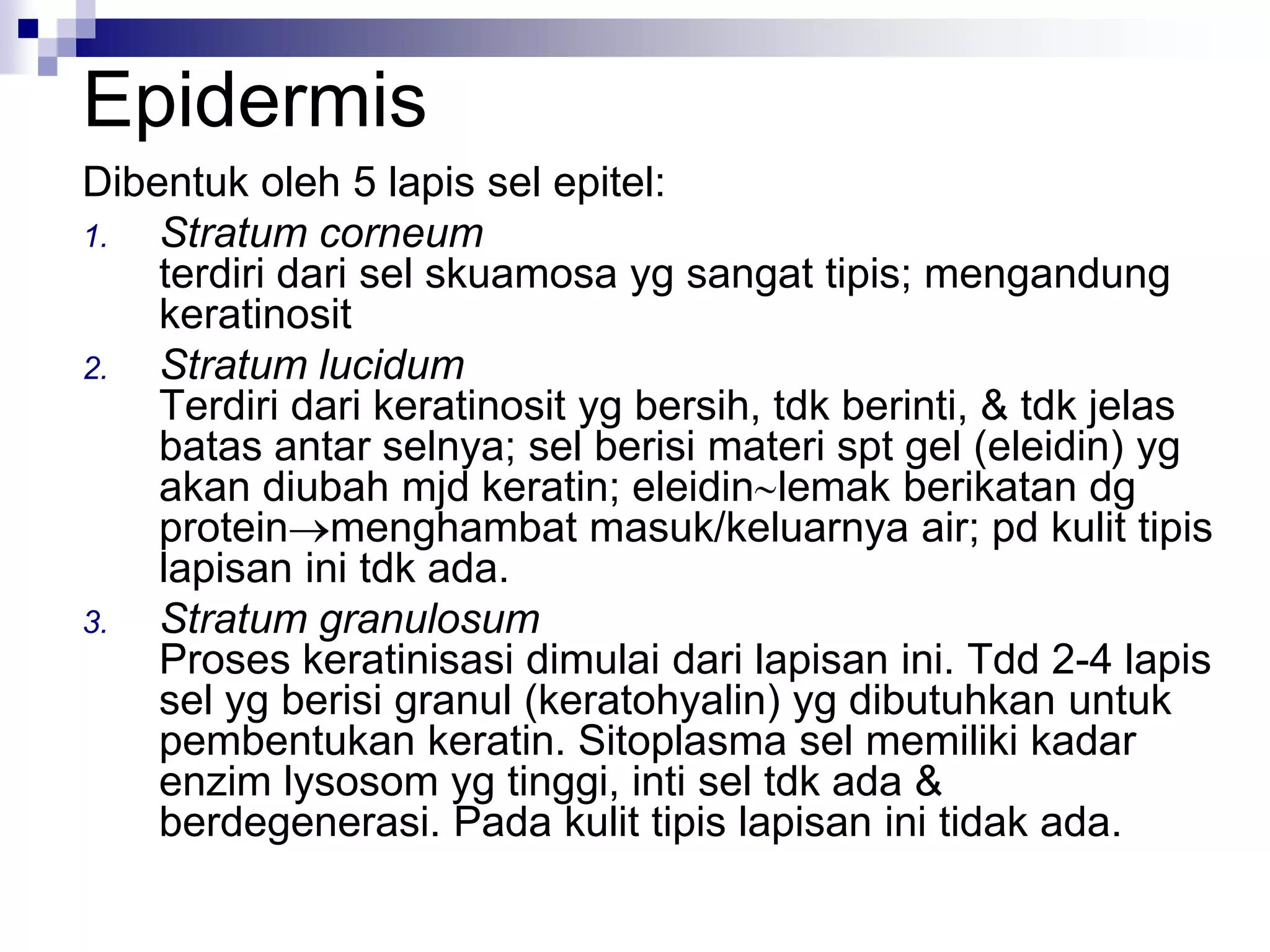 Anatomi & fisiologi sistem urinaria | PPTX