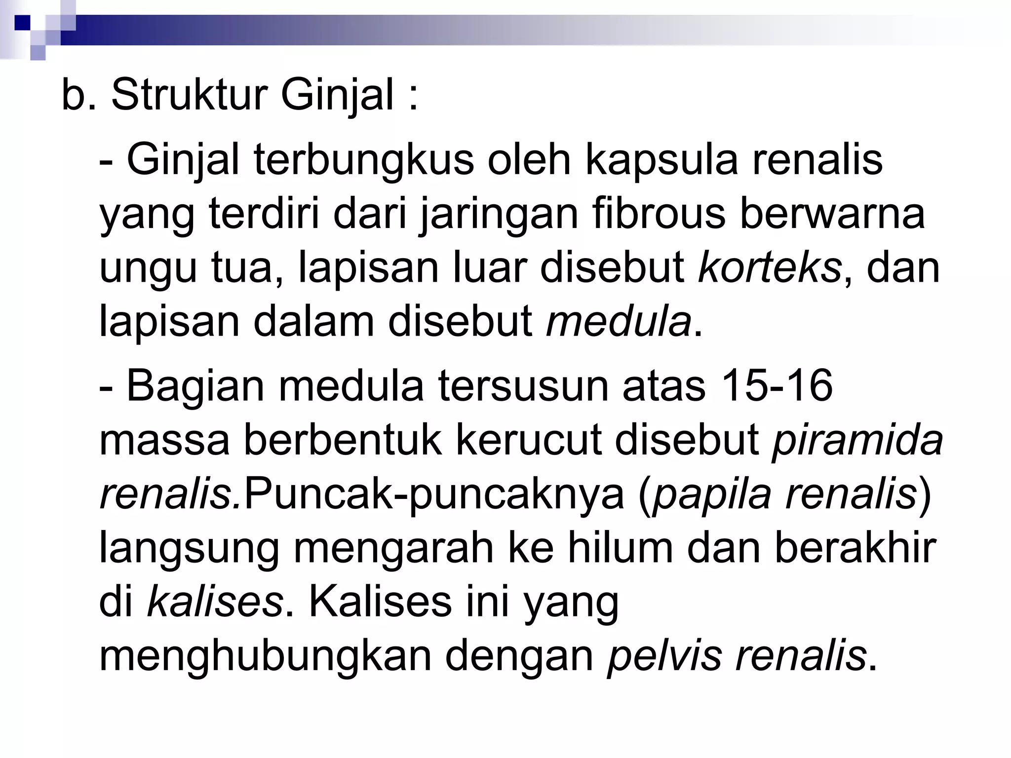 Anatomi & fisiologi sistem urinaria | PPTX