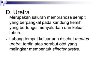 Anatomi & fisiologi sistem urinaria | PPTX