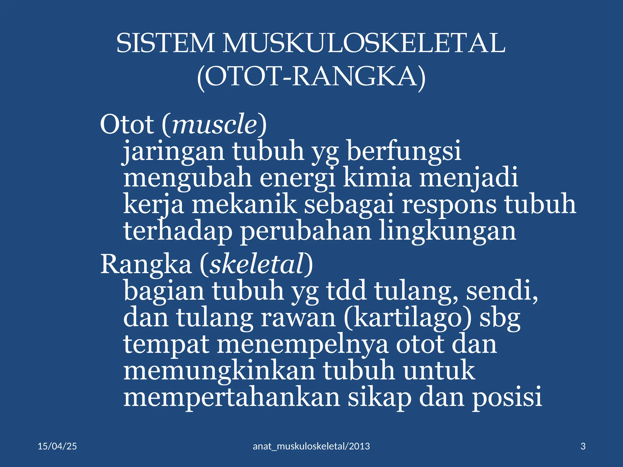 anatomi fisiologis sistem muskuloskletal.ppt