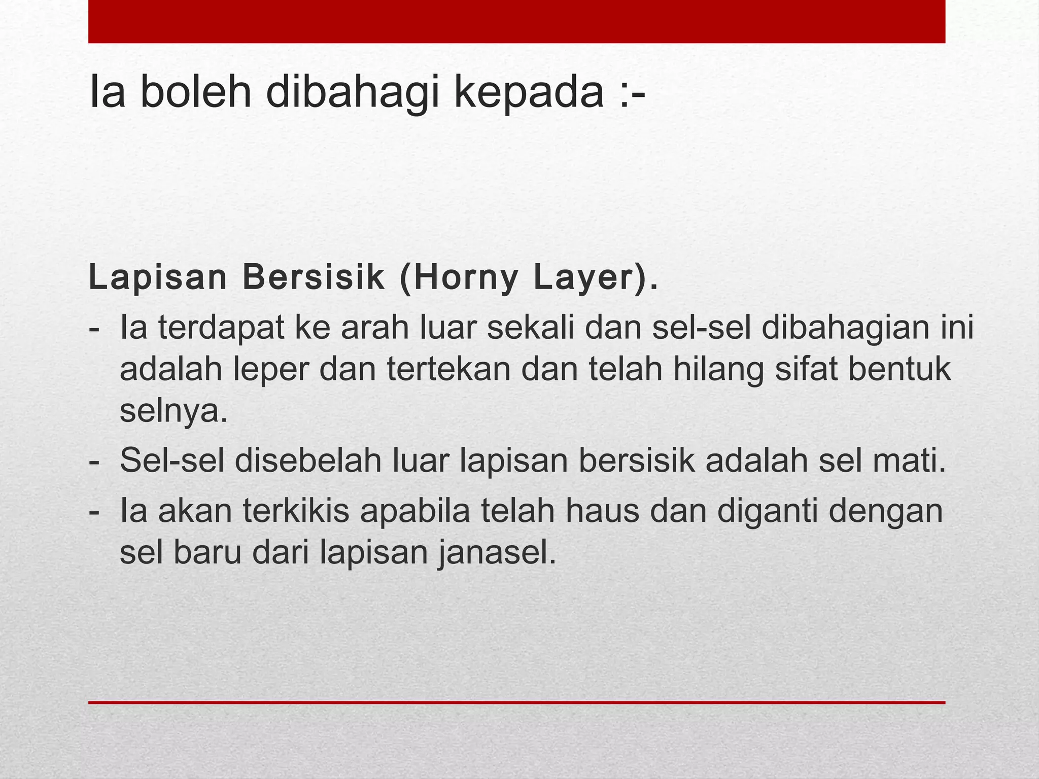 ANATOMI & FISIOLOGI STRUKTUR KULIT | PPT