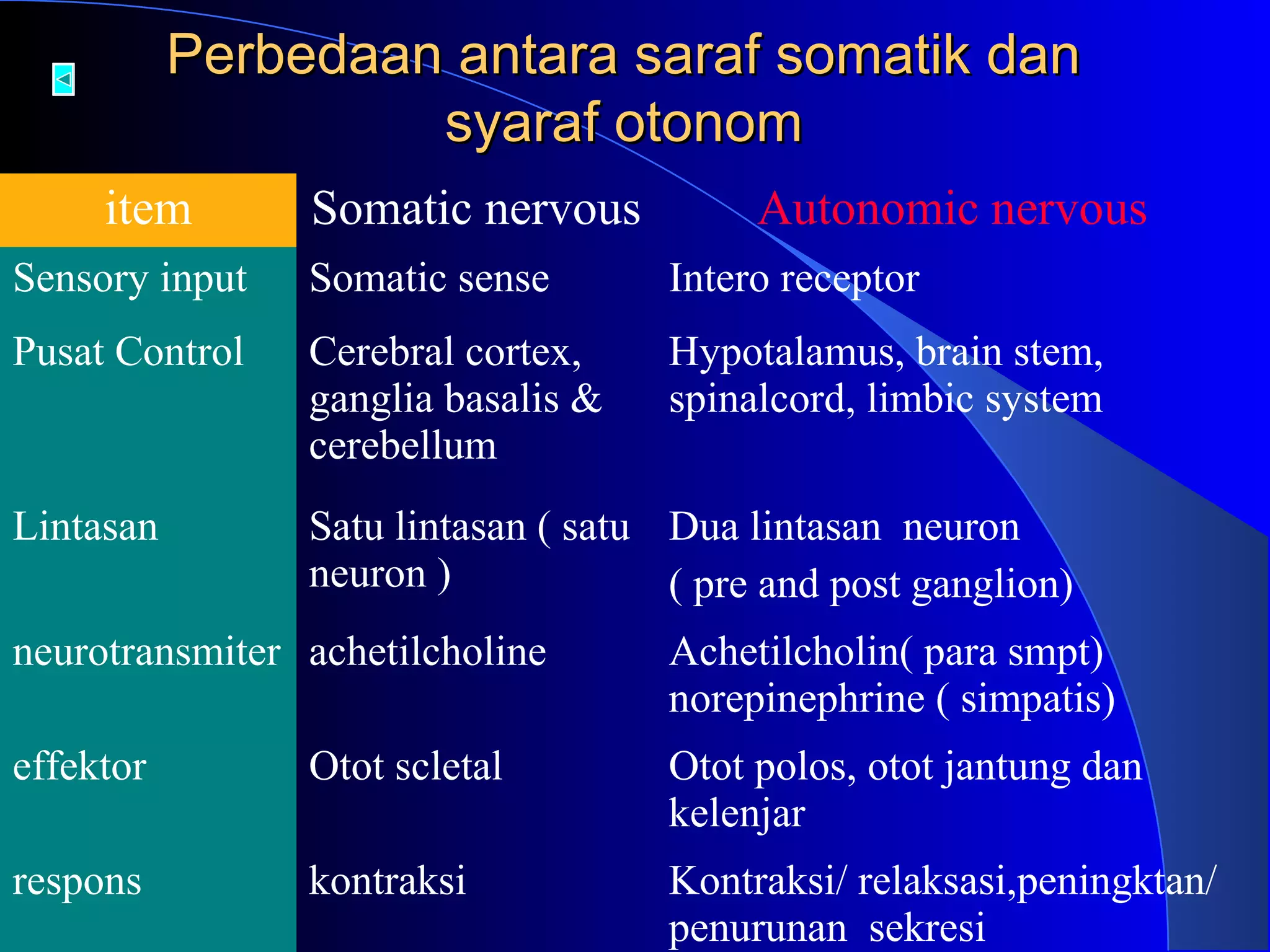 Anatomi & fisiologi syaraf 2 | PPT