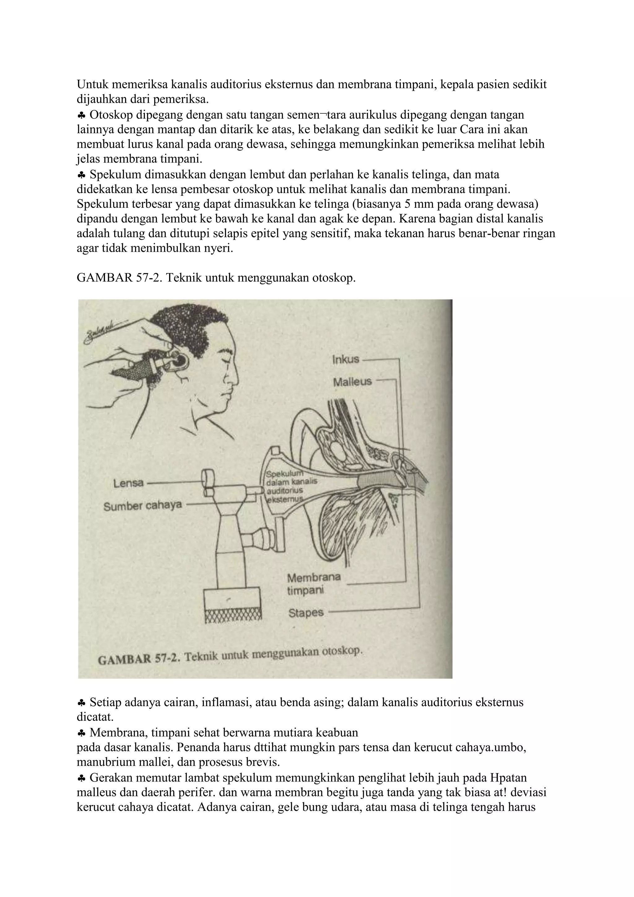 Anatomi fisiologi telinga | DOCX