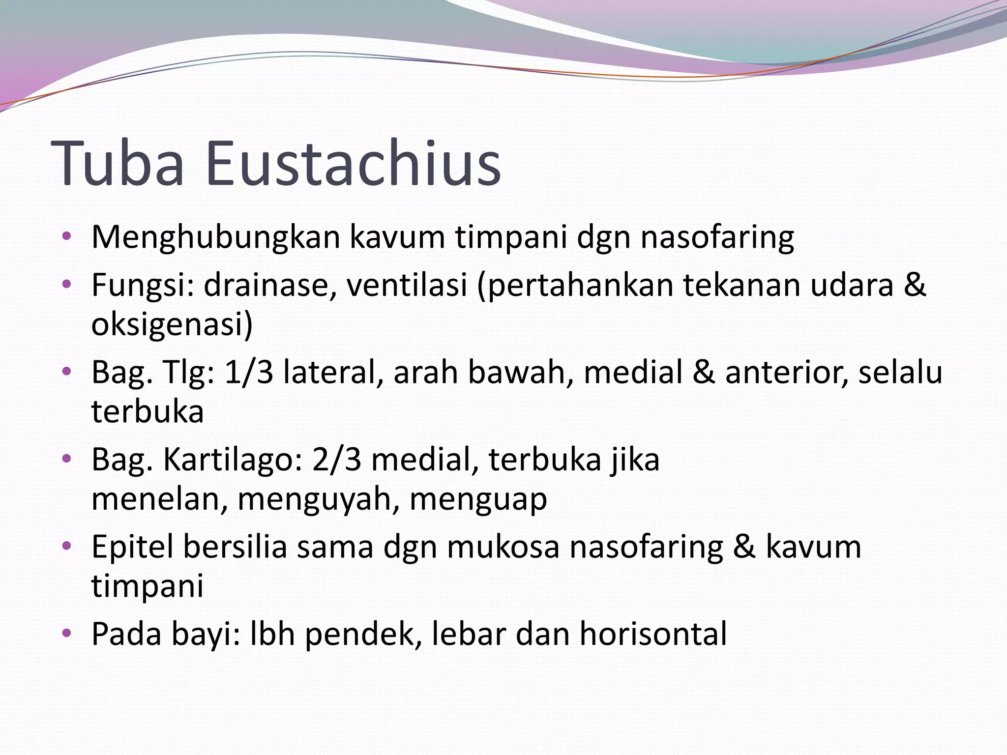 Anatomi & Fisiologi Telinga Tengah | PPTX