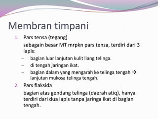 Anatomi & Fisiologi Telinga Tengah | PPTX