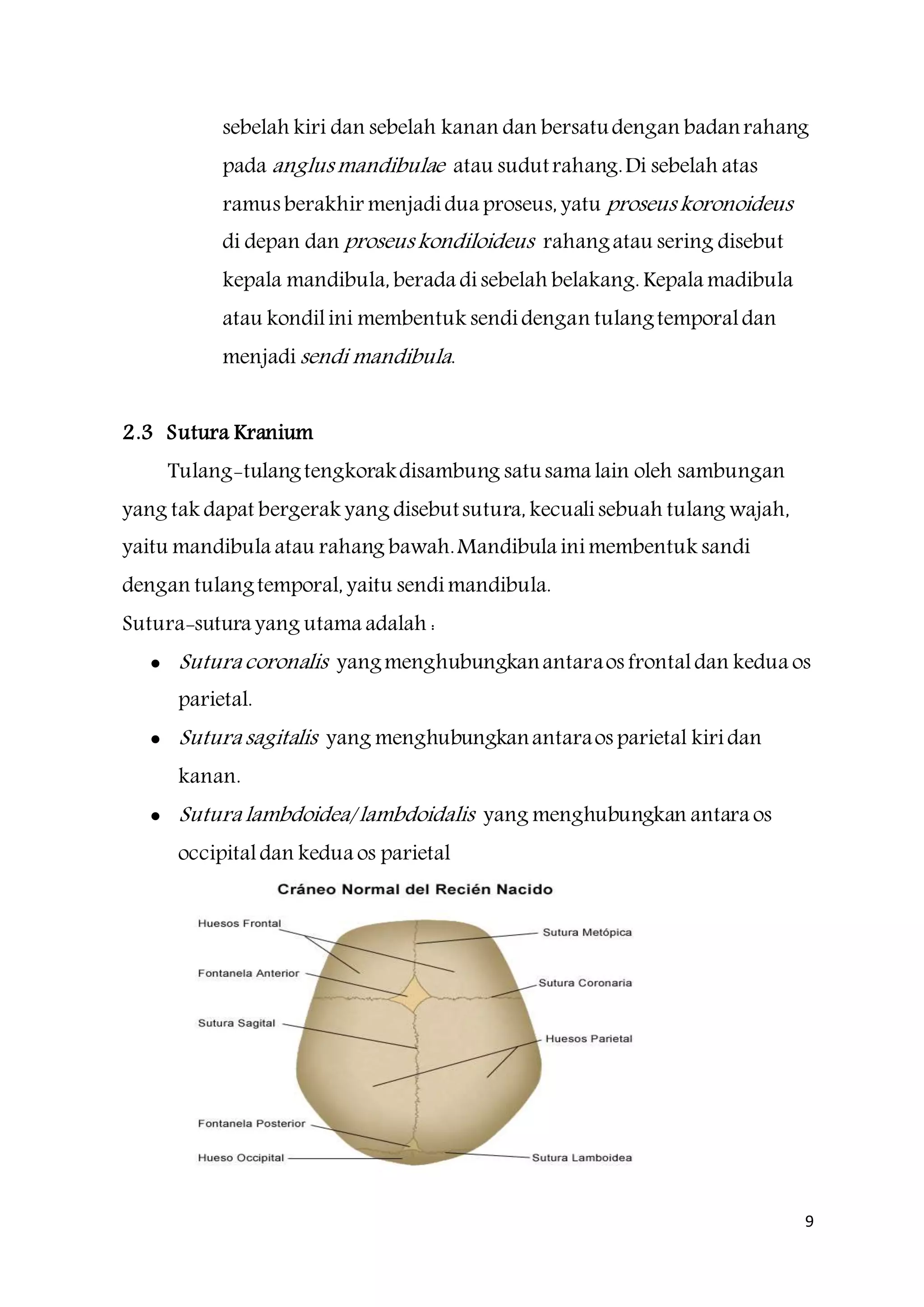 Anatomi fisiologi tengkorak | DOCX