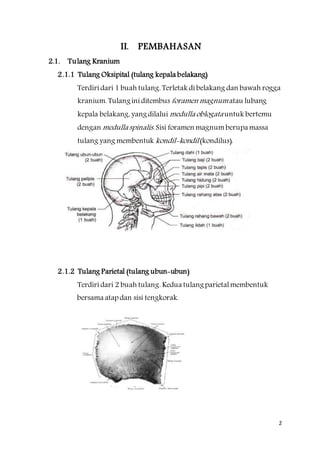 Anatomi fisiologi tengkorak | DOCX