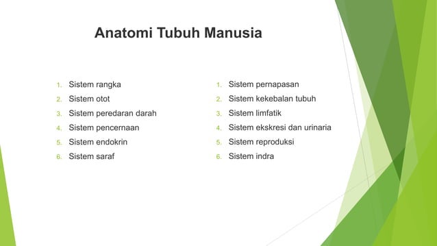Anatomi – Fisiologi Tubuh Manusia.ppt