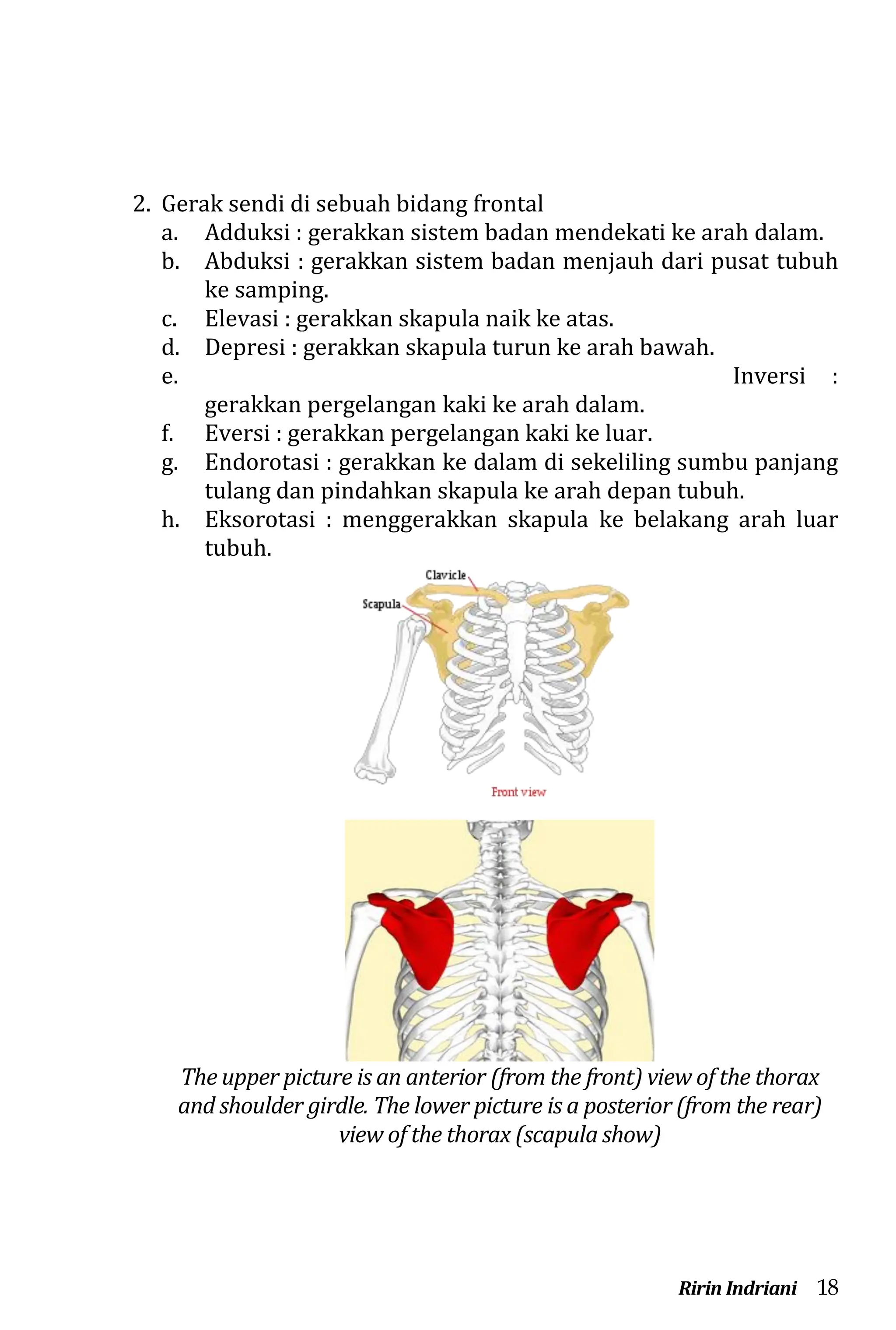 ANATOMI FISIOLOGI TUBUH , Tubuh manusia, substansi fisik organisme ...