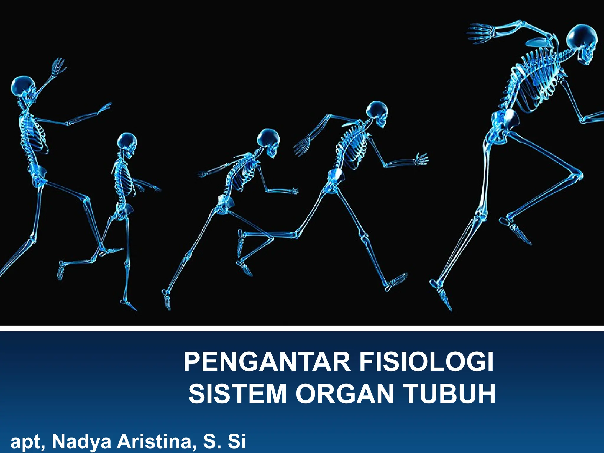 ANATOMI FISIOLOGI TUBUH MANUSIA.pptx CONTOH | PPT