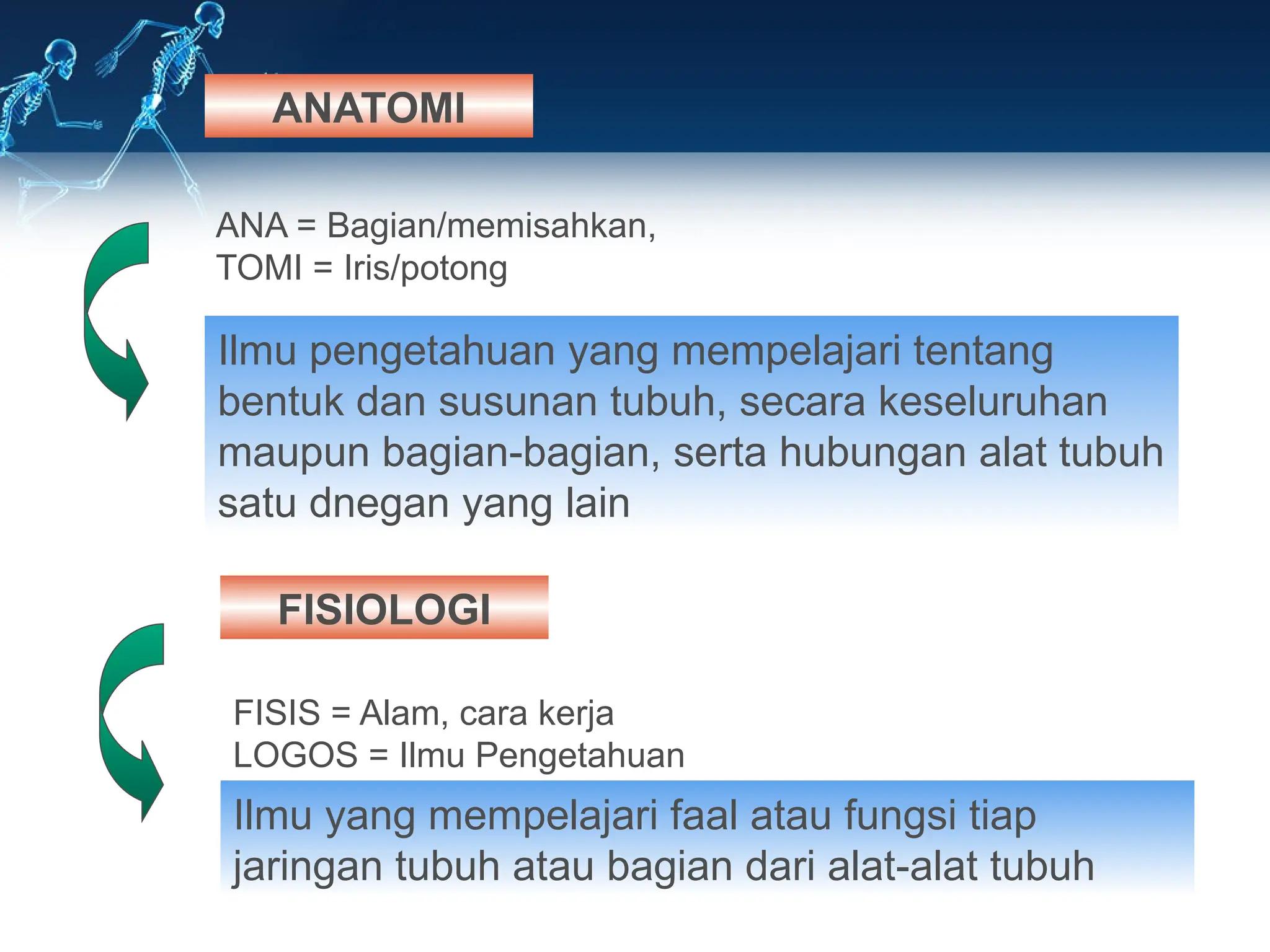 ANATOMI FISIOLOGI TUBUH MANUSIA.pptx CONTOH | PPTX