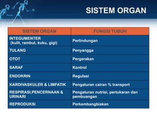 ANATOMI FISIOLOGI TUBUH MANUSIA.pptx CONTOH | PPTX