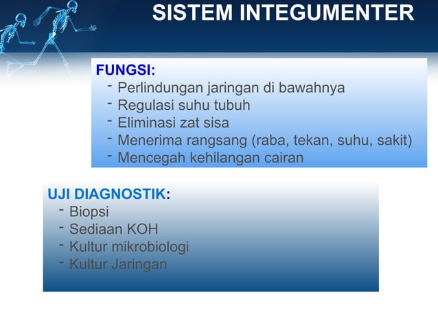 ANATOMI FISIOLOGI TUBUH MANUSIA.pptx CONTOH | PPTX