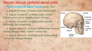 Anatomi Fisiologi Muskuluskeletal | PPTX