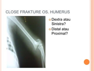 Anatomi fisiologi umum | PPTX