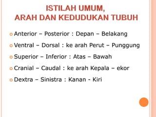 Anatomi fisiologi umum | PPTX