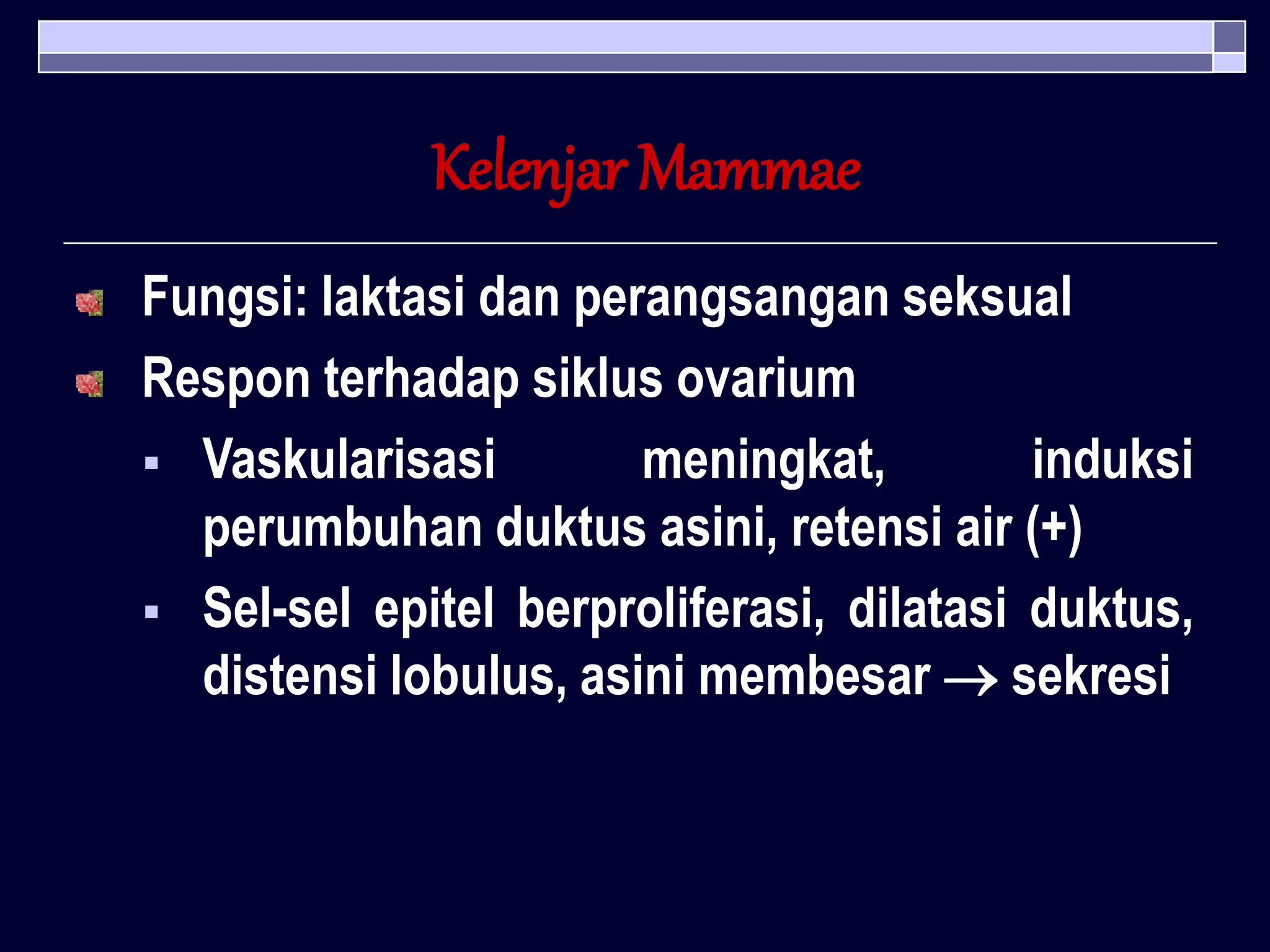 Anatomi fis sistem reproduksi.ppt