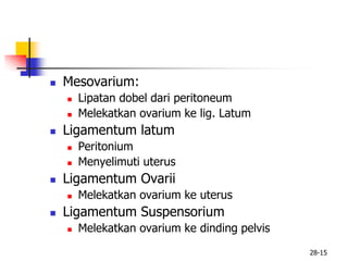 Anatomi genitalia feminina 1 | PPTX