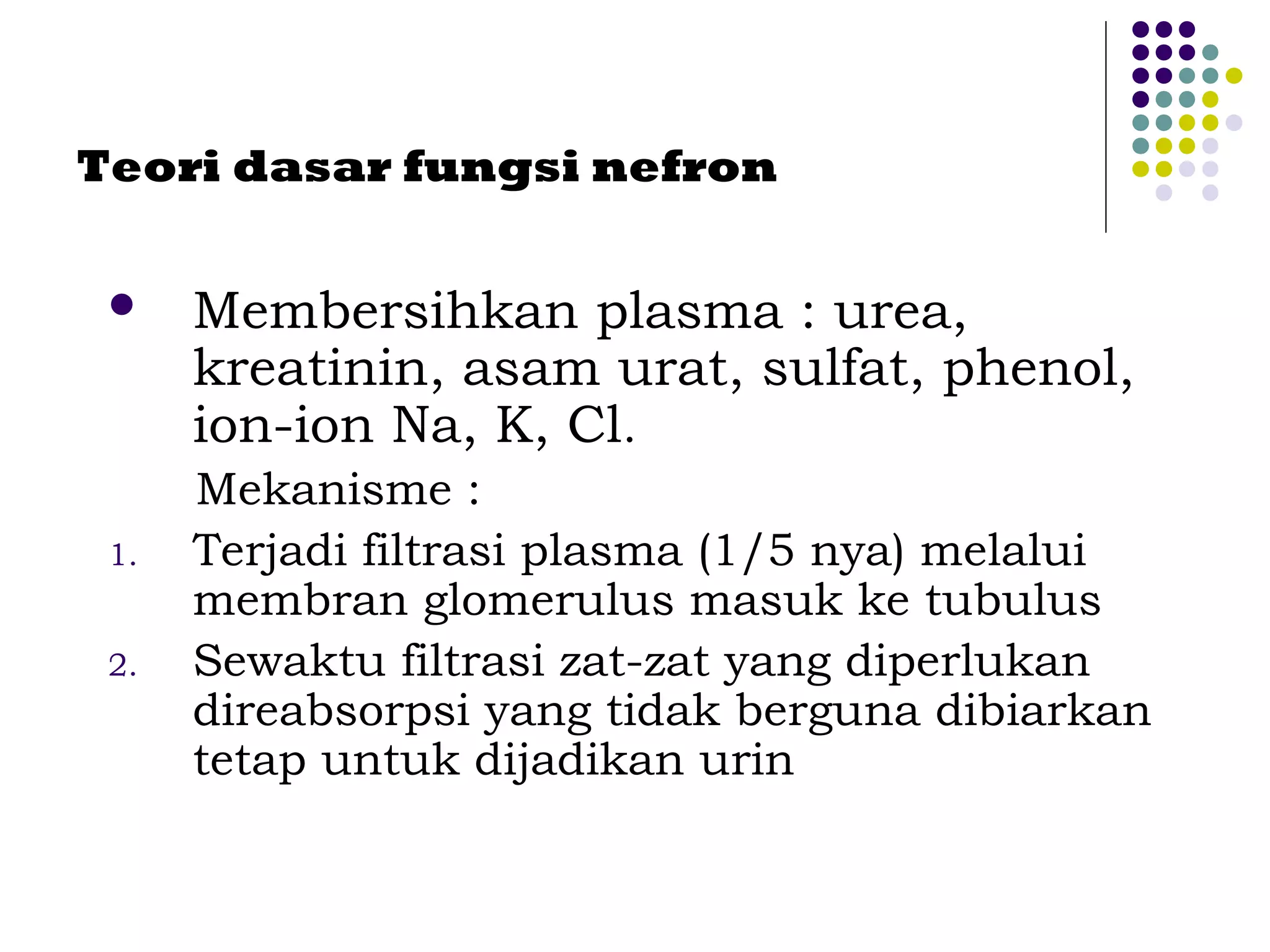 Anatomi ginjal | PPT