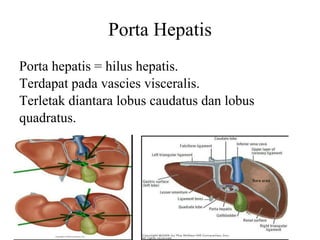 Anatomi_hepar.pptx