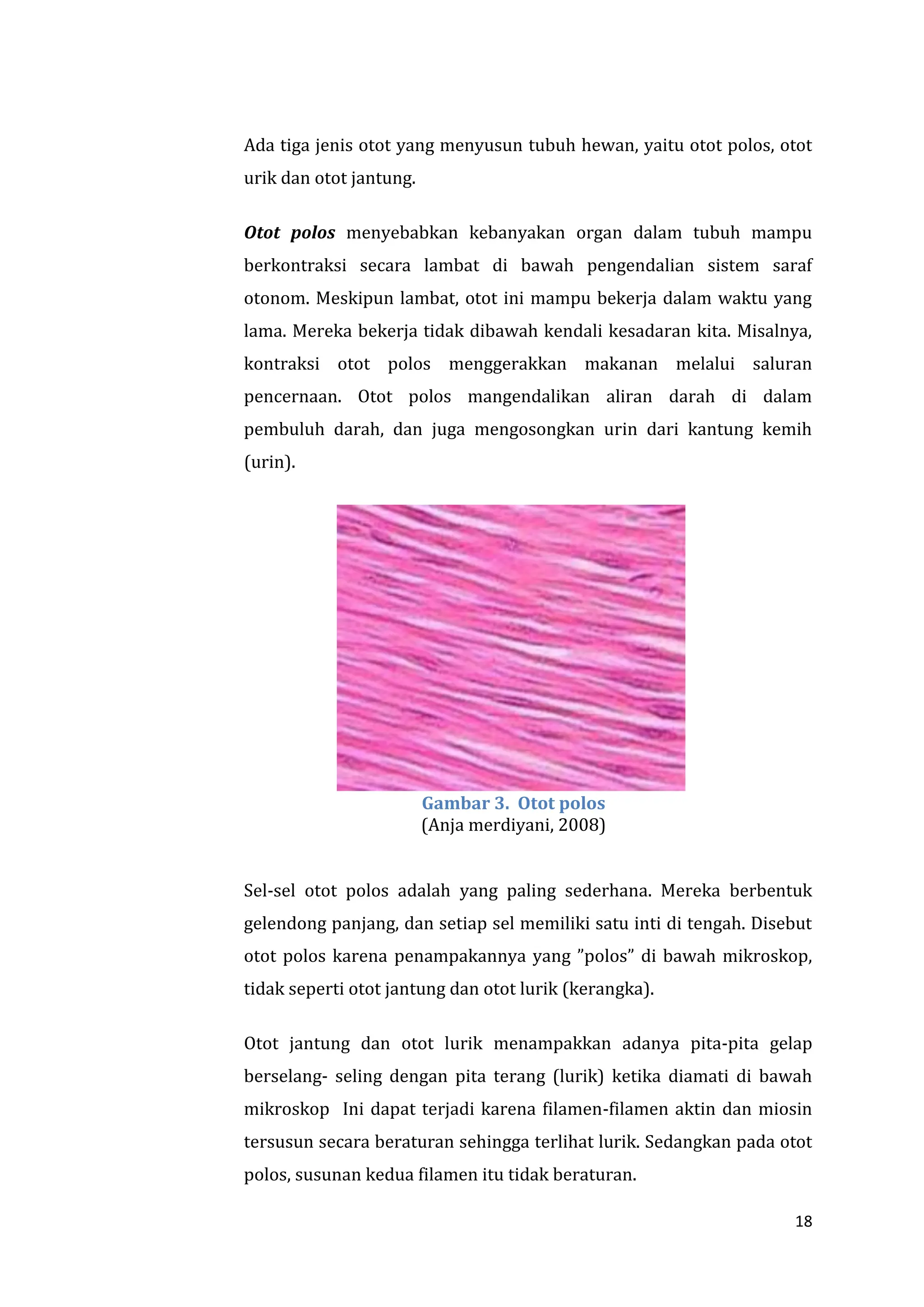 mteri fisiologi hewan tentang anatomi hewan.pdf