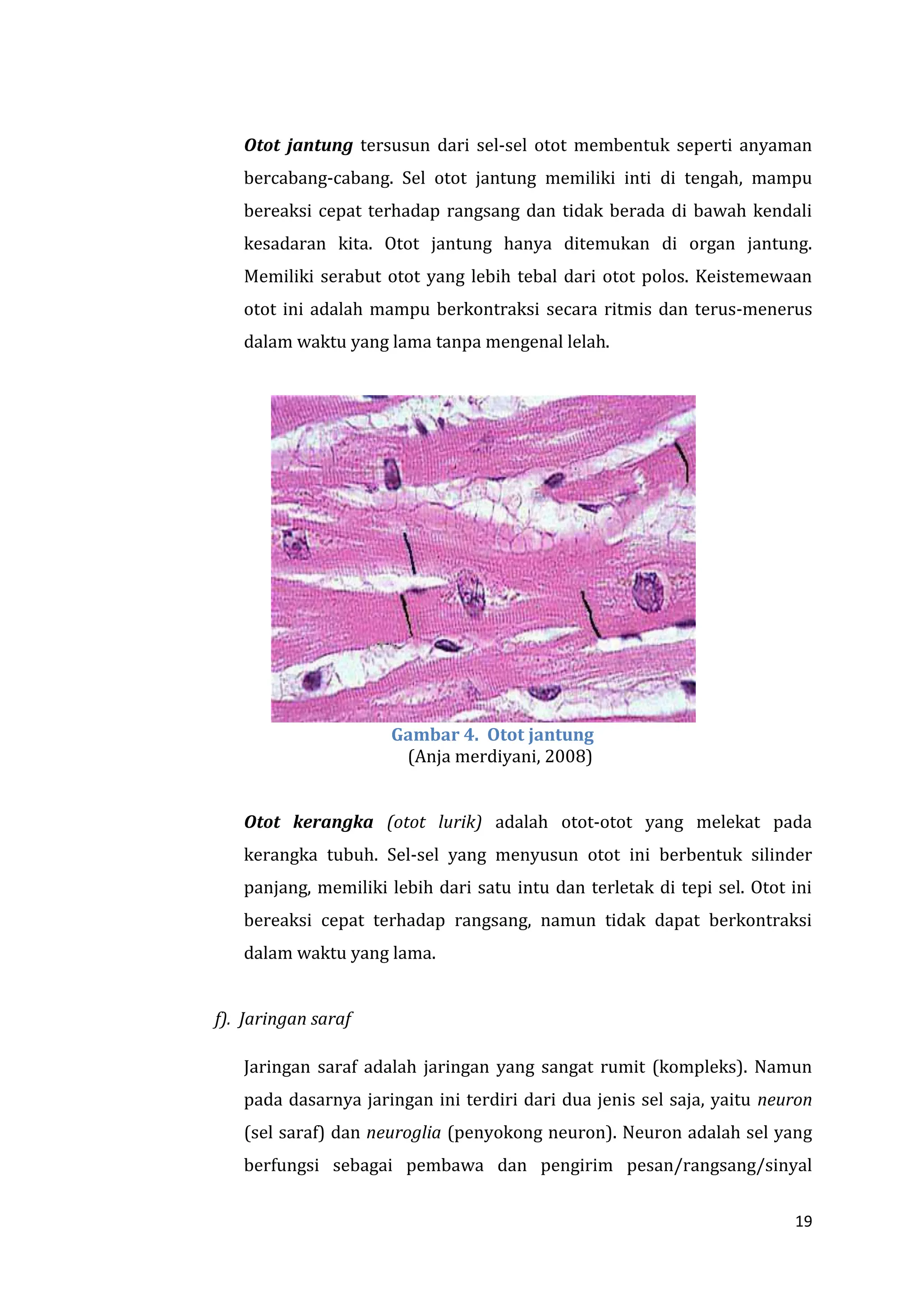 mteri fisiologi hewan tentang anatomi hewan.pdf