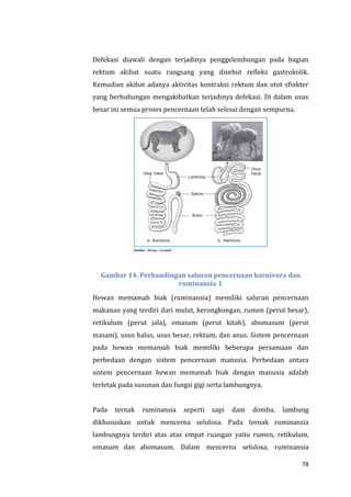 Anatomi hewan | PDF