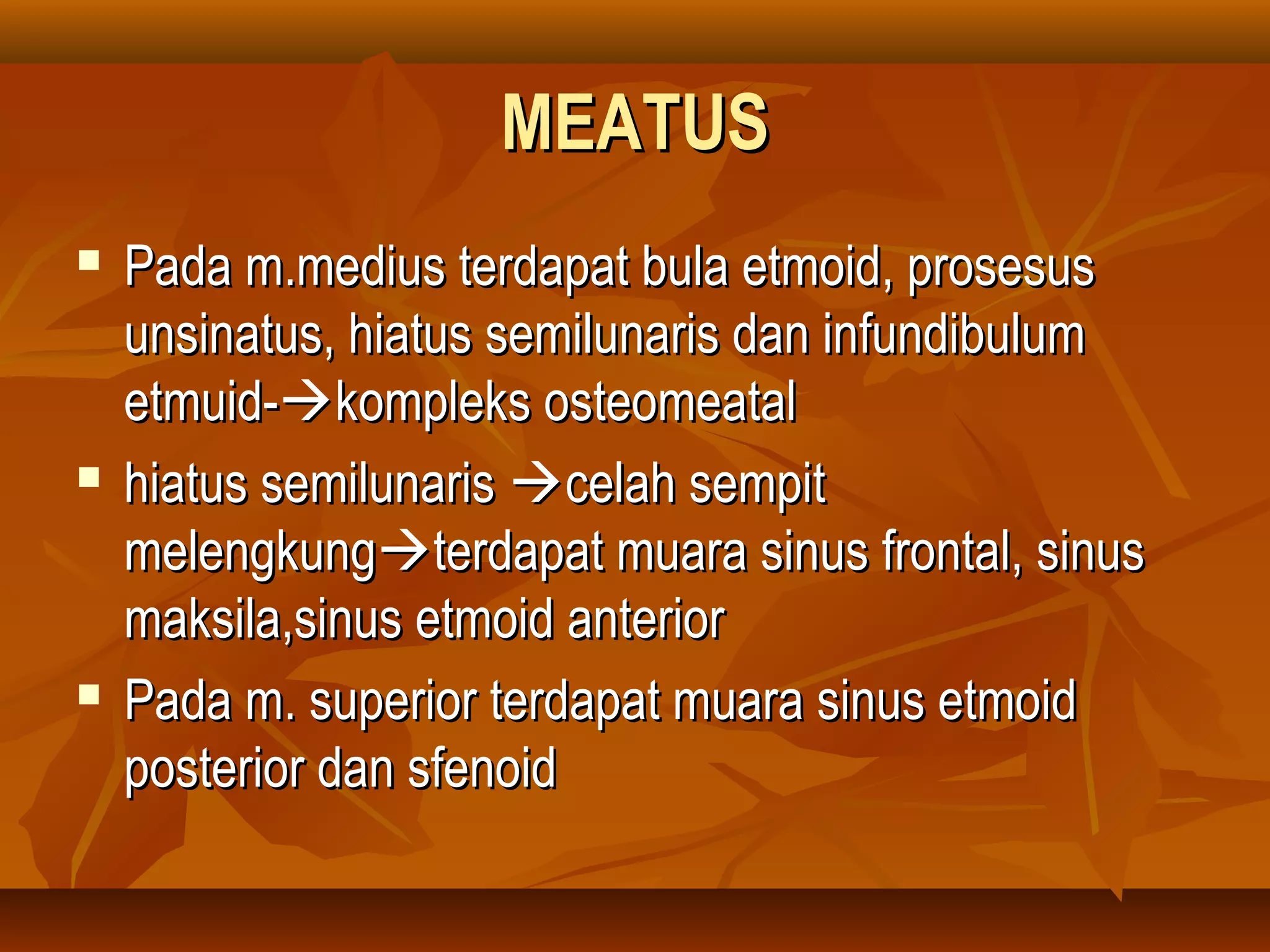 Anatomi hidung | PPT