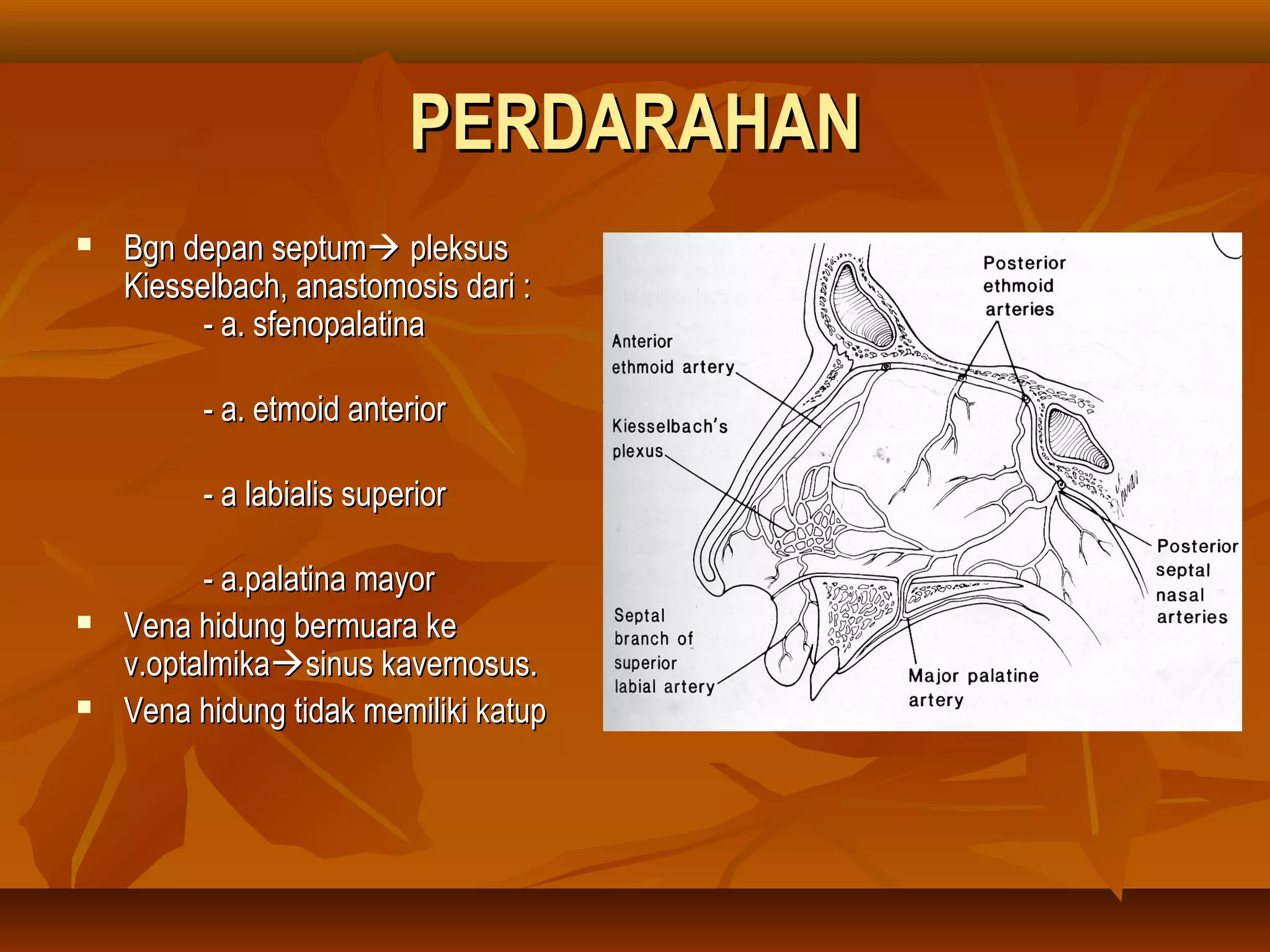 Anatomi hidung | PPT