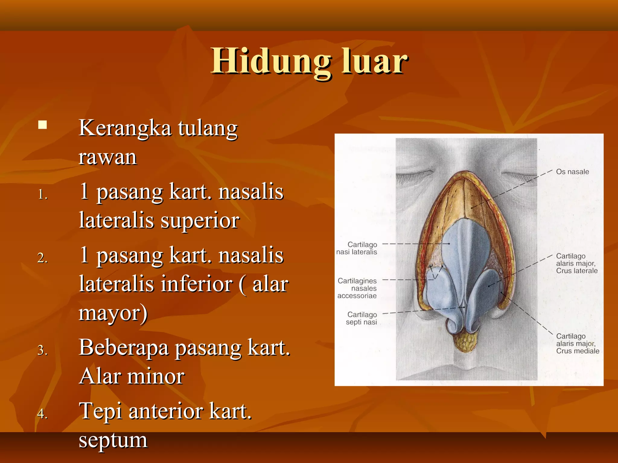 Anatomi hidung | PPT