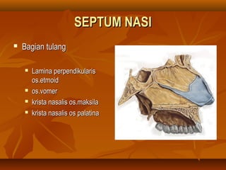 Anatomi hidung | PPT
