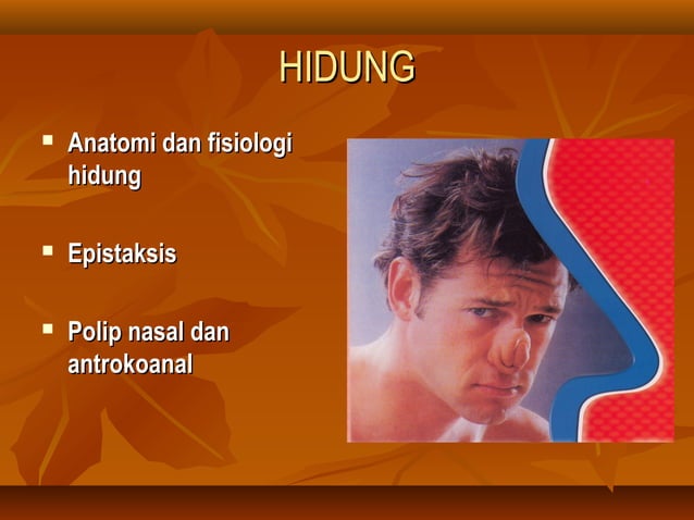 Anatomi hidung | PPT