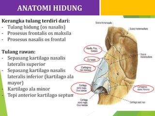 anatomi hidung dan sinus paranasal THT-KL unand | PPTX