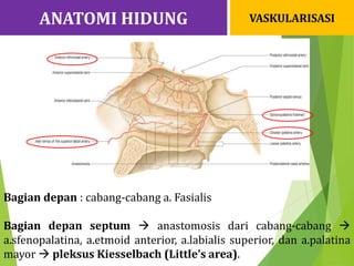 anatomi hidung dan sinus paranasal THT-KL unand | PPTX