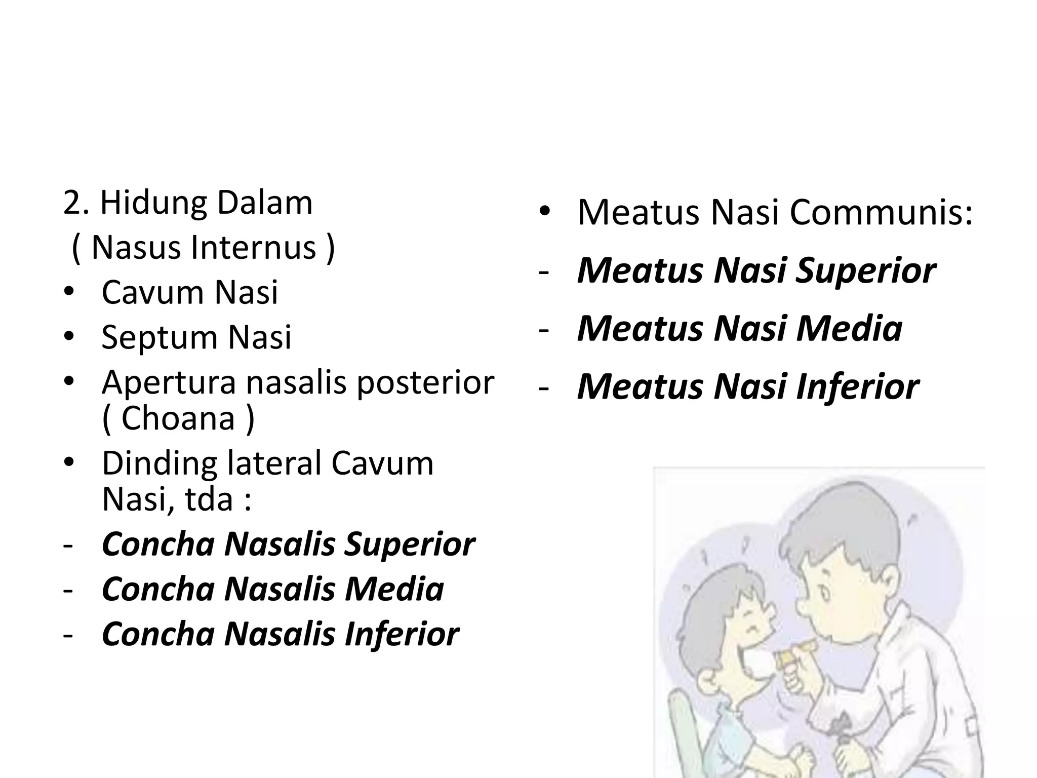 Anatomi hidung dan tenggorokan | PPTX