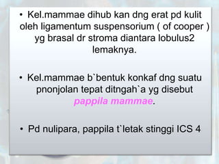 Anatomi histologi fisiologi mammae.ppt