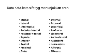 Anatomi Ilmu biomedik dasar tubuh manusia | PPTX
