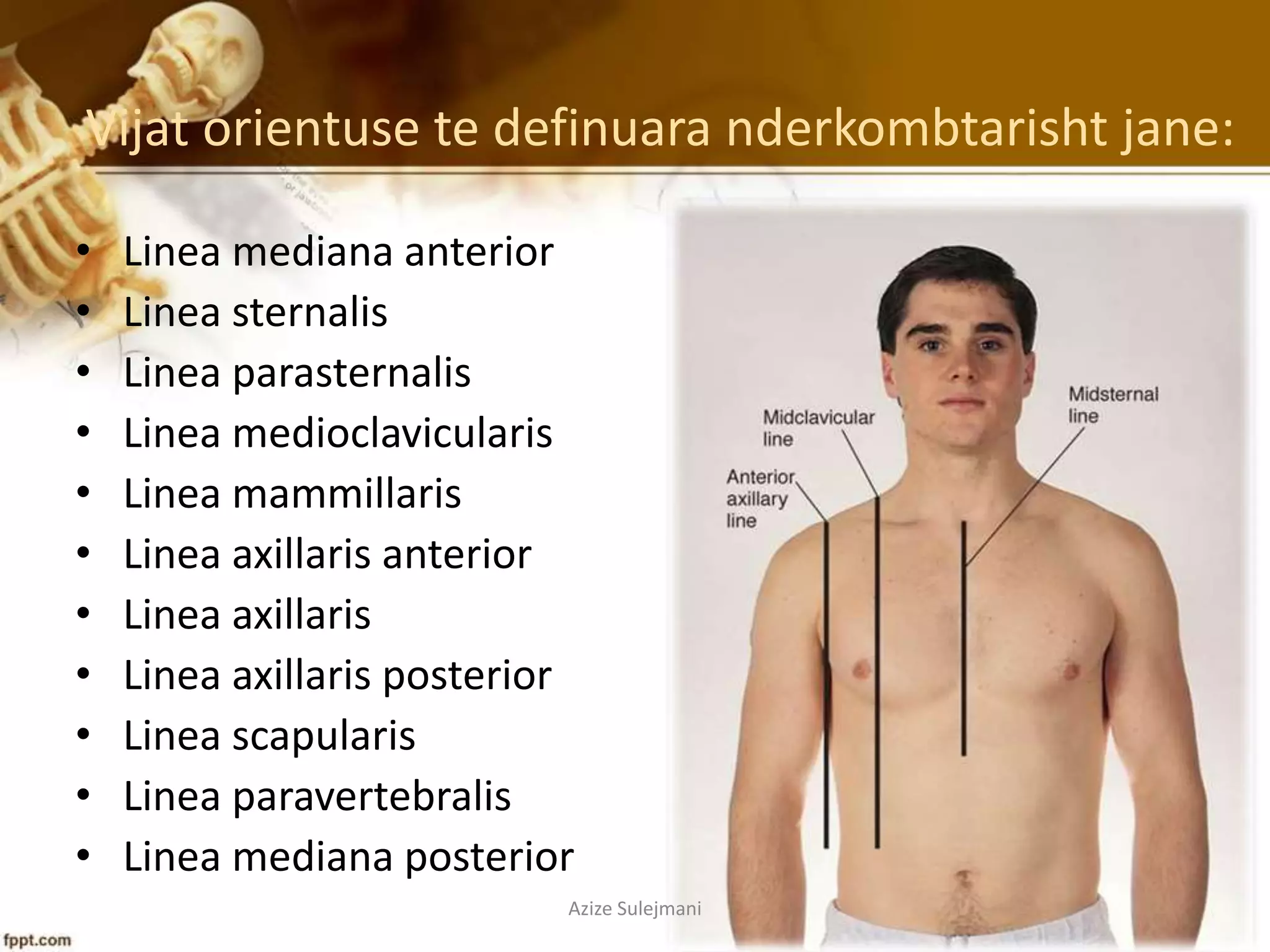Anatomia sistematike dhe topografike e Thorax-it | PPTX