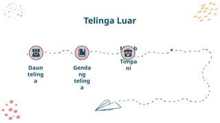 Materi ANATOMI Fisiologi INDERA MATA DAN TELINGA | PPTX