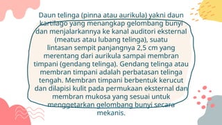 Materi ANATOMI Fisiologi INDERA MATA DAN TELINGA | PPTX