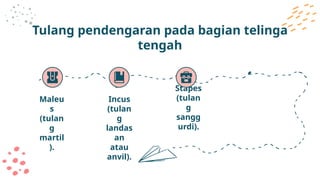 Materi ANATOMI Fisiologi INDERA MATA DAN TELINGA | PPTX