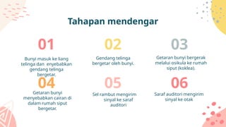 Materi ANATOMI Fisiologi INDERA MATA DAN TELINGA | PPTX