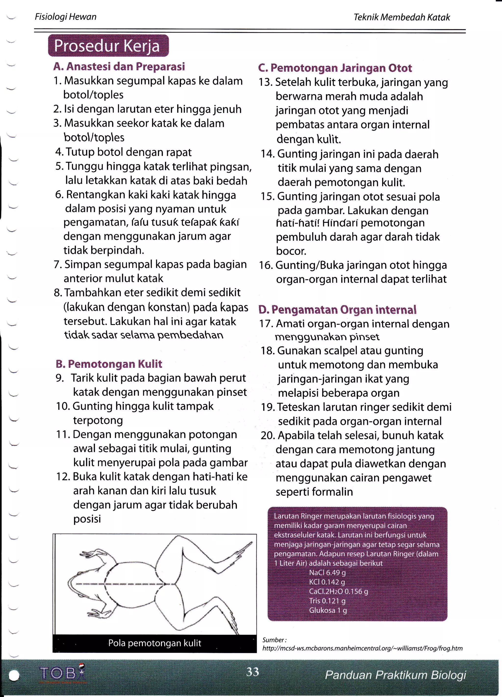 Anatomi internal | PDF