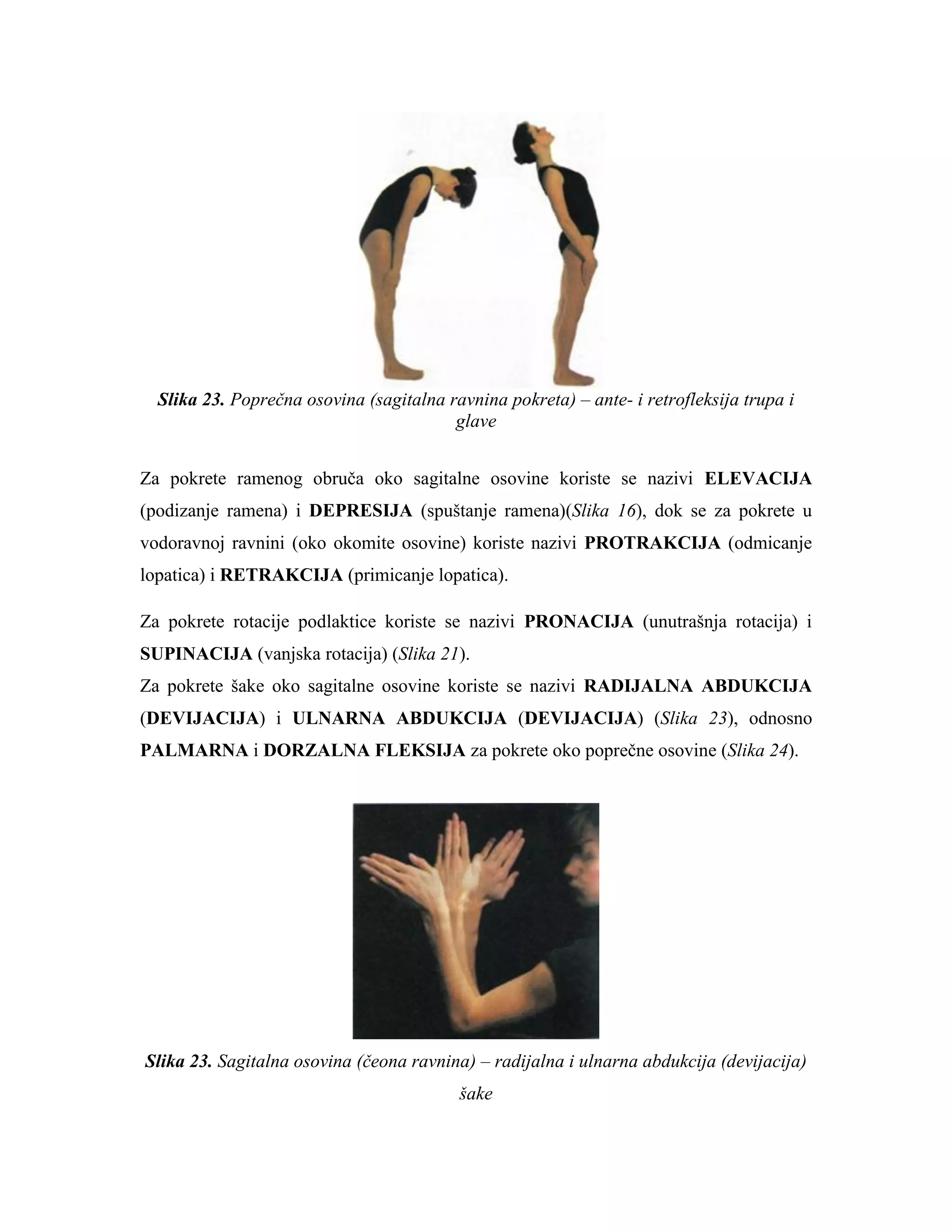 Anatomija | PDF